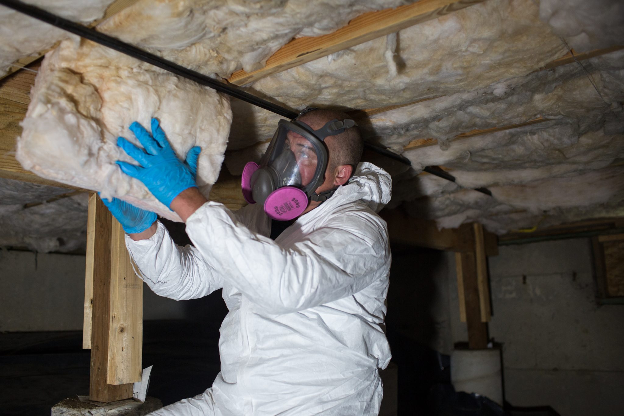 A Fool's Proof Guide to Dealing with Crawl Space Pests in Seattle ...
