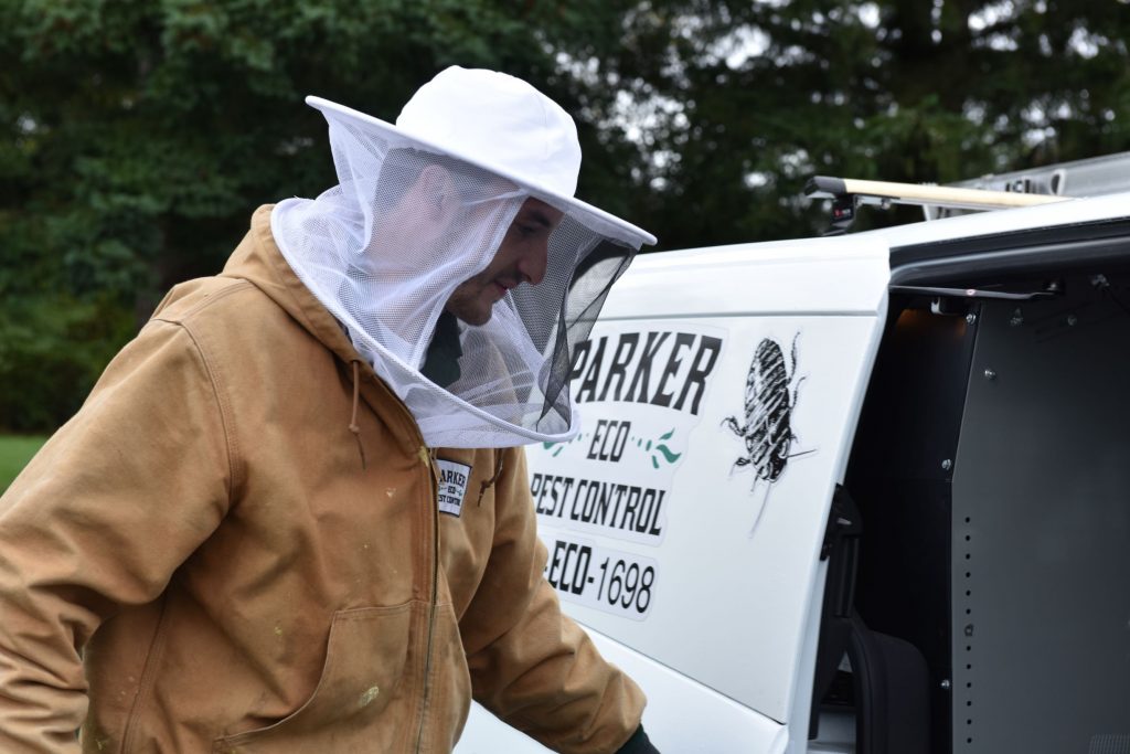 Rodent and Pest Control In Bothell | Parker Eco Pest Control