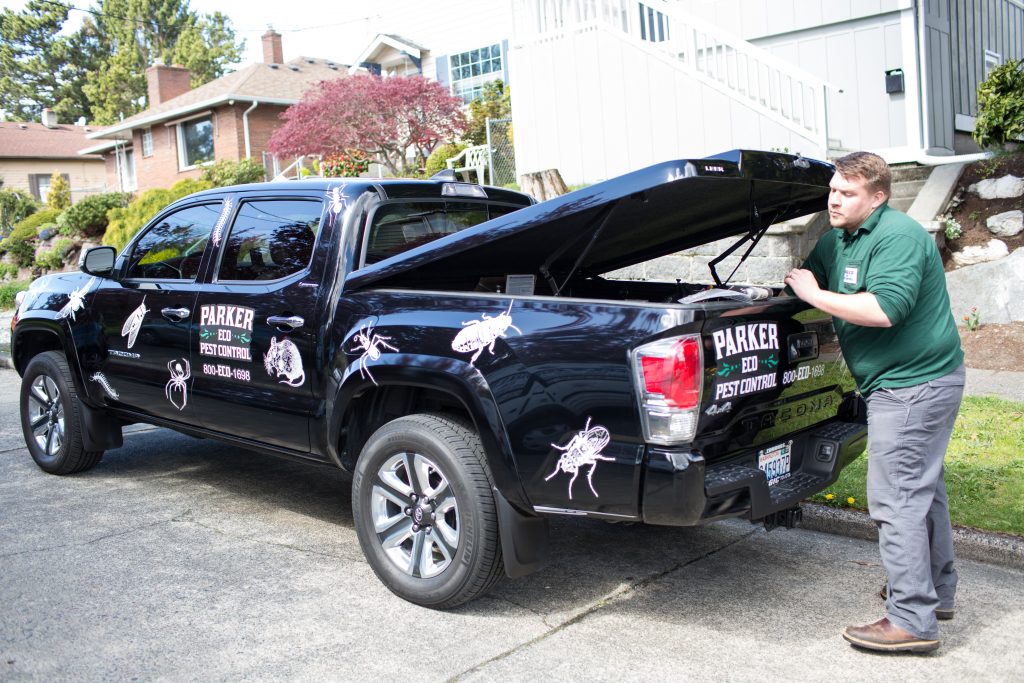 Parker Eco Pest Control in Shoreline | Ants, Rats, Wasps