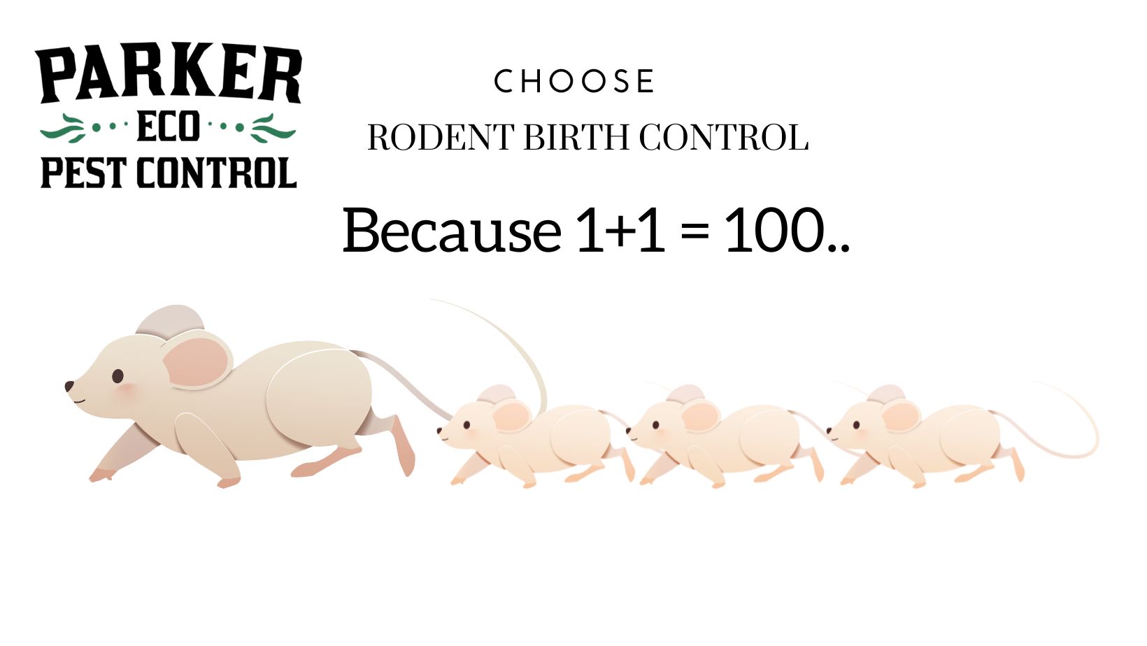 3 Must-Try Natural Rodent Control Remedies. | Parker Eco Pest Control