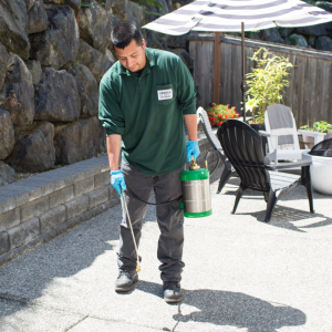 Parker Eco Pest Control | Pest Control Seattle | Seattle Pest Control ...
